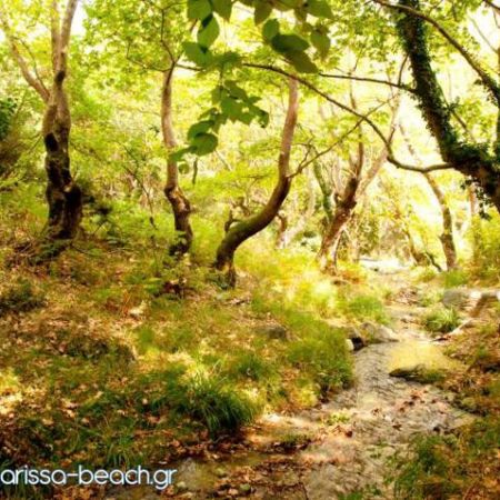 Μονοπατι Βελικας Μελιβοιας – Παράλια Λάρισας – Μονοπατια Πεζοποριας