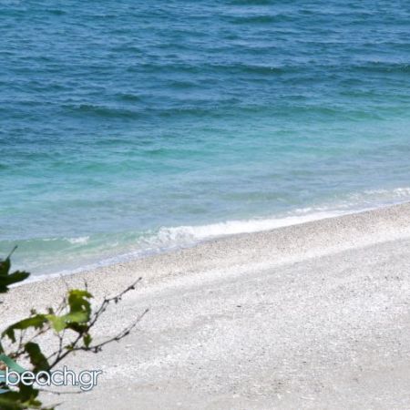 Παλιουρια – Παράλια Λάρισας – Παραλιες Λαρισας