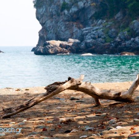 Ψαρολακκας – Παράλια Λάρισας – Παραλιες Λαρισας